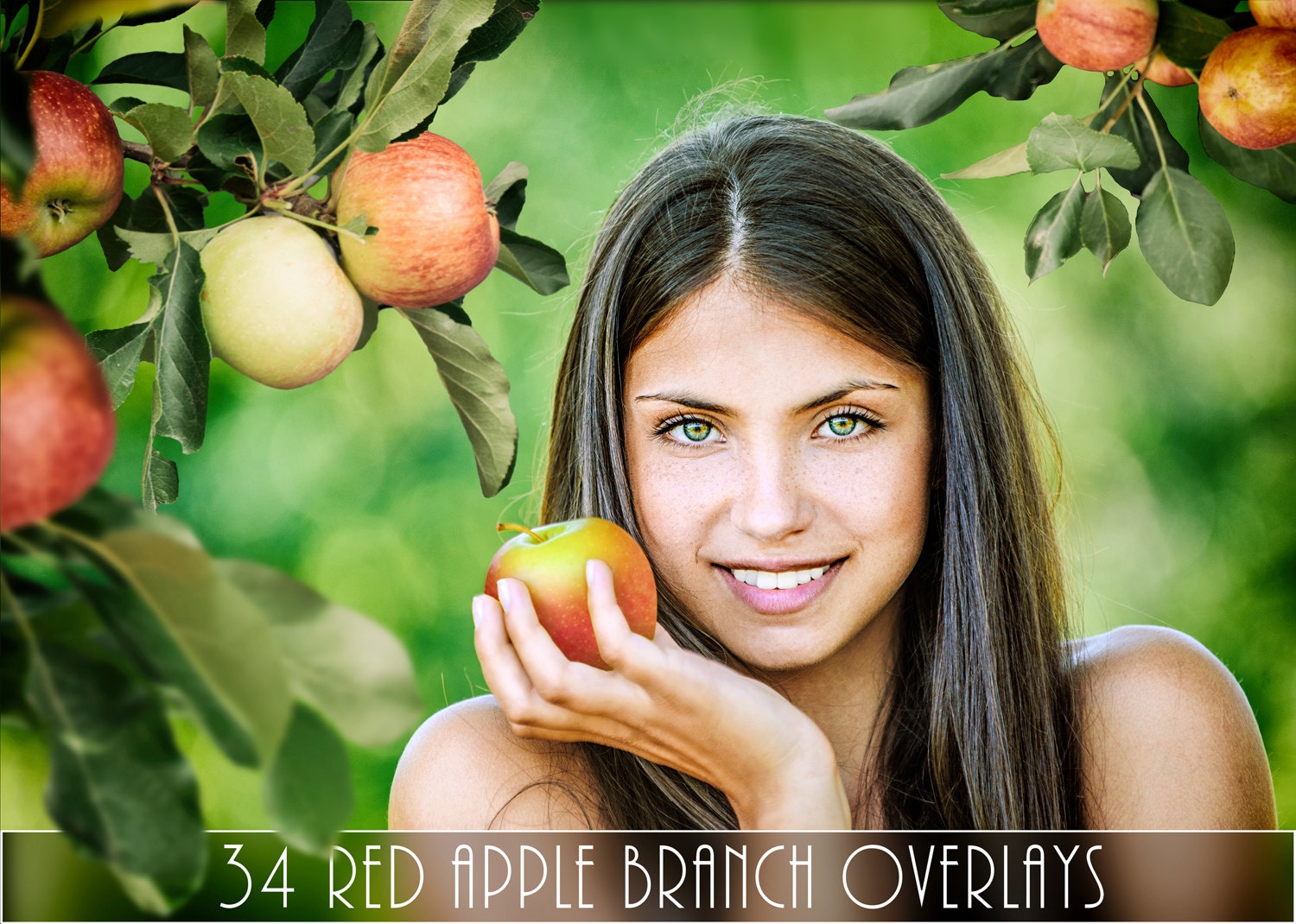 34 Red Apples Branch Photoshop Overlays, Apple Tree Fruits Branch and ...