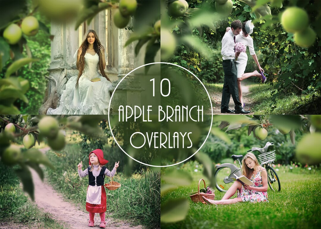 10 Green Apple Tree Branch Overlays, Fruit Branch Photoshop Layer ...