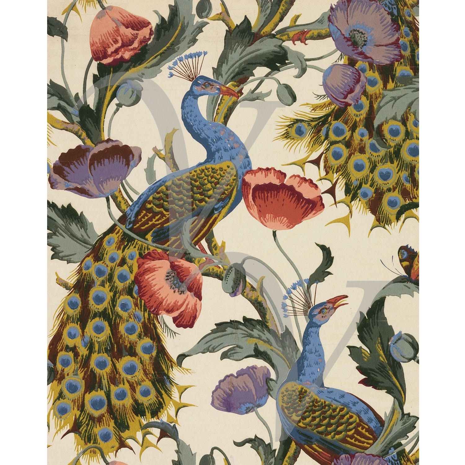 Vintage Peacock Illustration