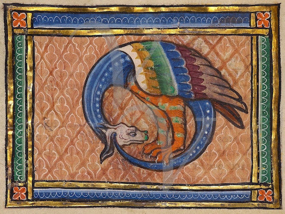 Medieval Dragons Manuscripts