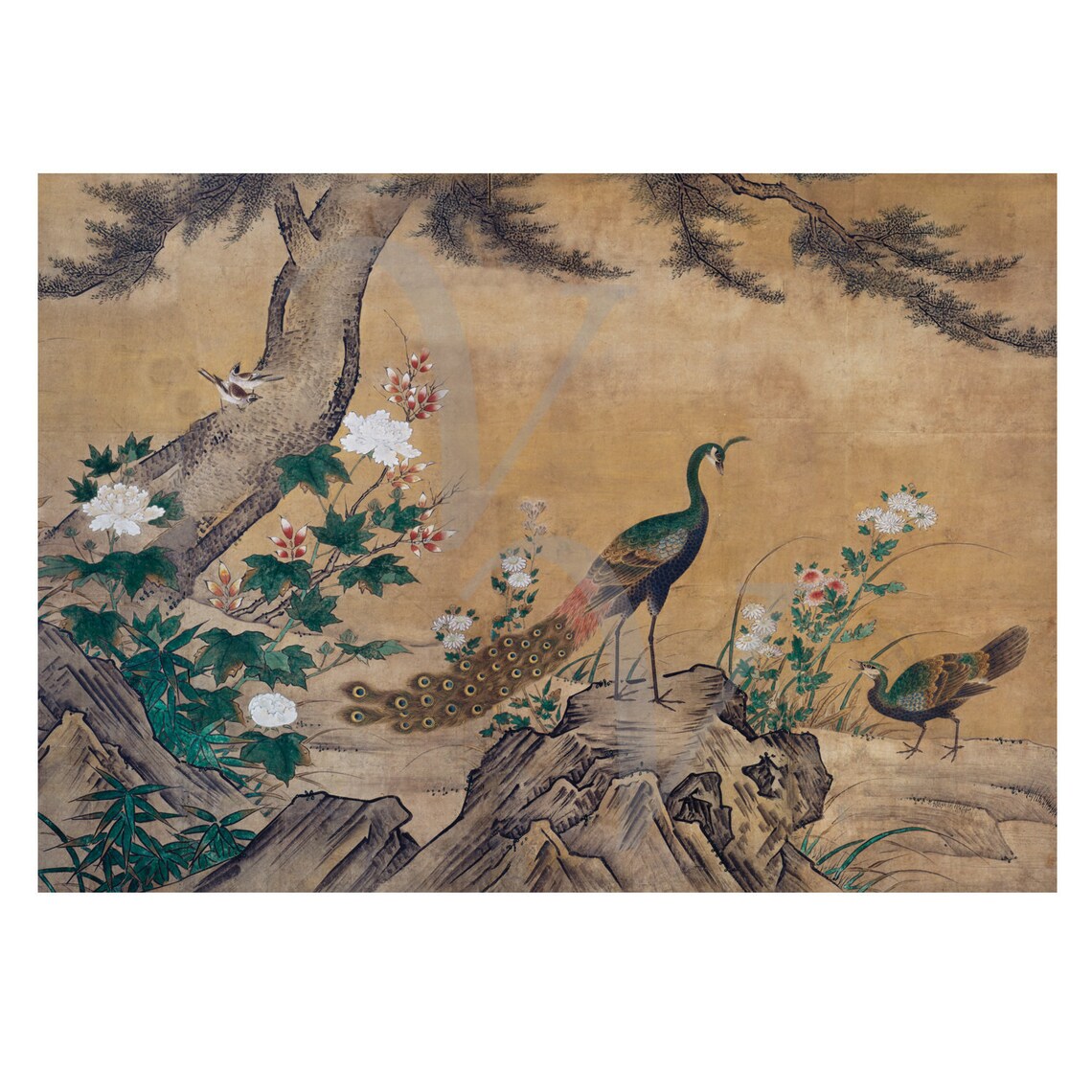 Japanese Peacock Painting Print Japan Antique Artwork | Etsy