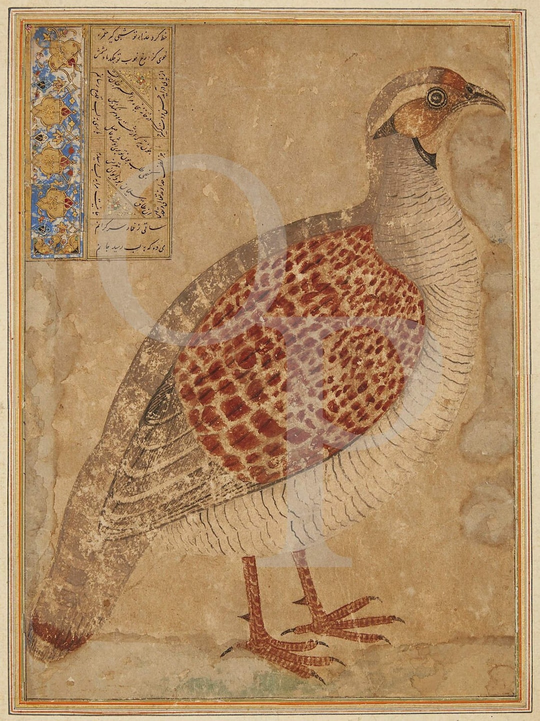 Persian Bird Painting, Partridge, Persia, Antique Artwork, Vintage ...