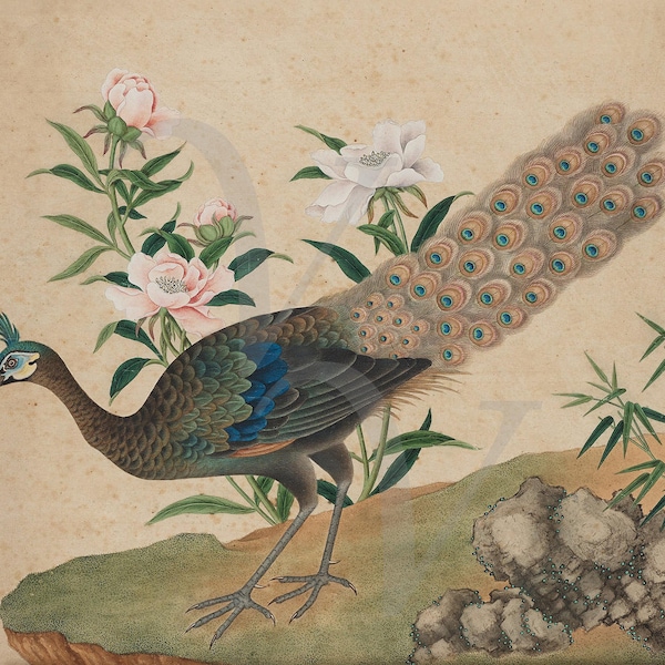 Chinese Peacock Wall Art - Etsy