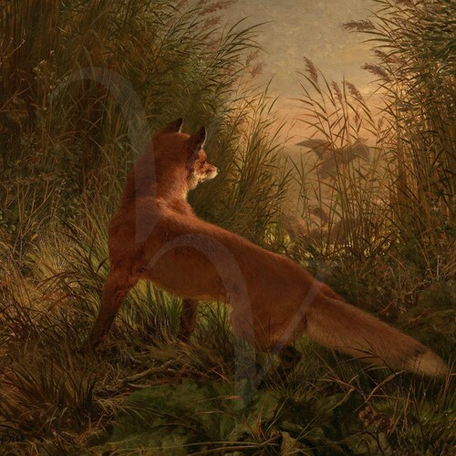 Fox Painting Print Foxes Antique Artwork Wildlife Vintage - Etsy