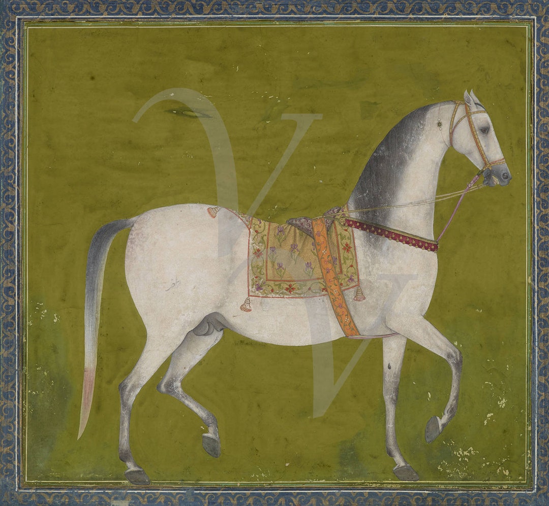 Indian Horse Painting Print, India, Antique Artwork, Stallion, Horses ...