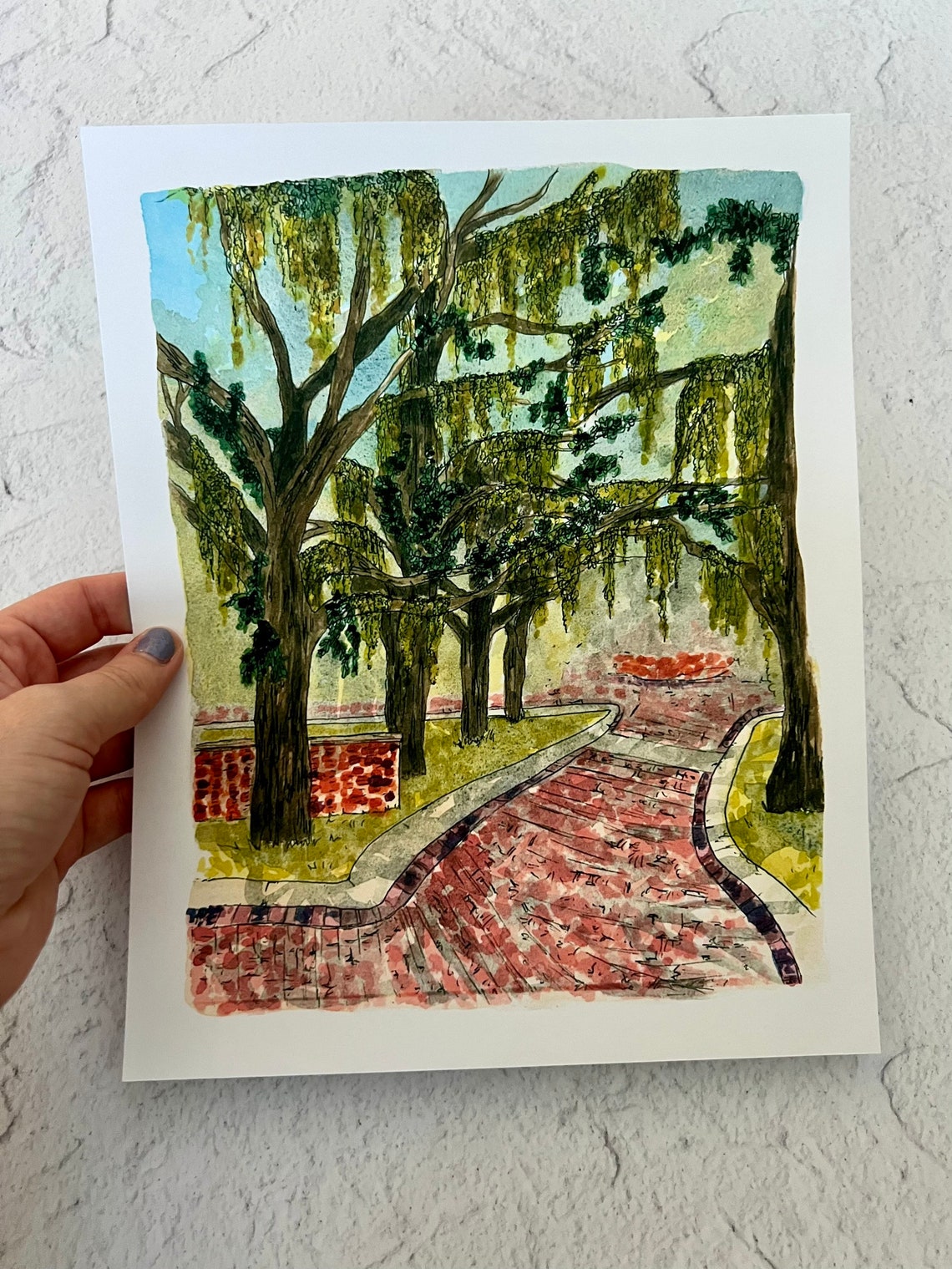 Florida State University Legacy Walk / FSU Art Print / Florida - Etsy