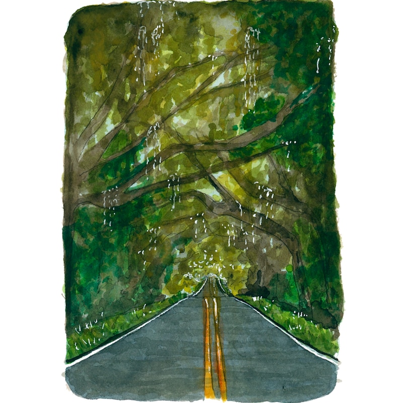 Tree Canopy Road Wall Art - Etsy