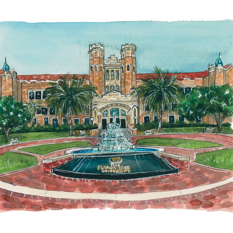 Fsu Watercolor Wall Decor - Etsy