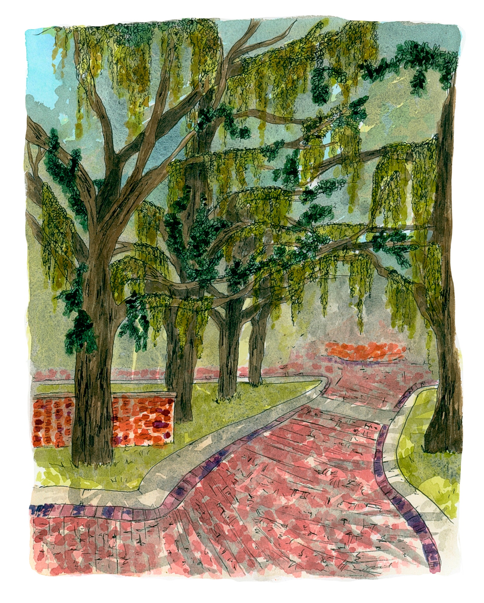 Florida State University Legacy Walk / FSU Art Print / Florida - Etsy