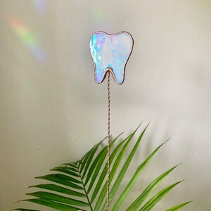Tooth Stained Glass Plant Stake - Etsy