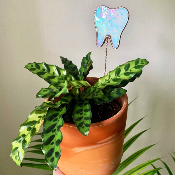 Stained Glass Tooth - Etsy