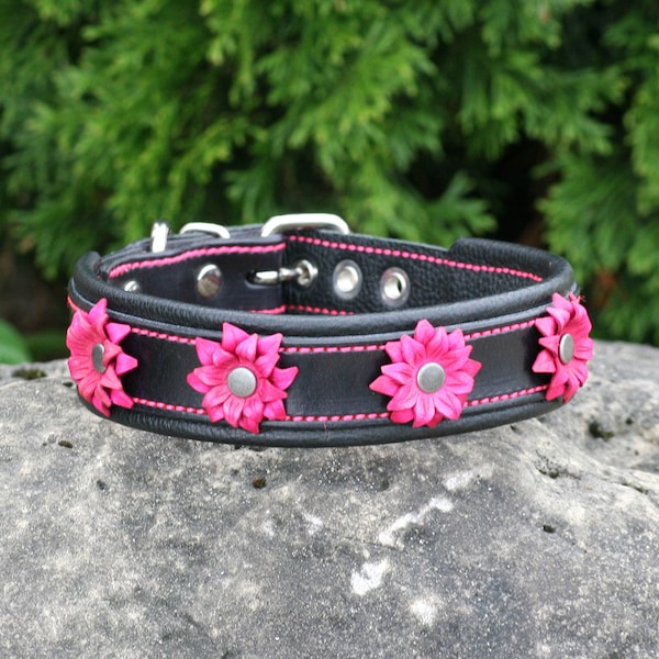 Leather Dog Collar Pattern - Etsy