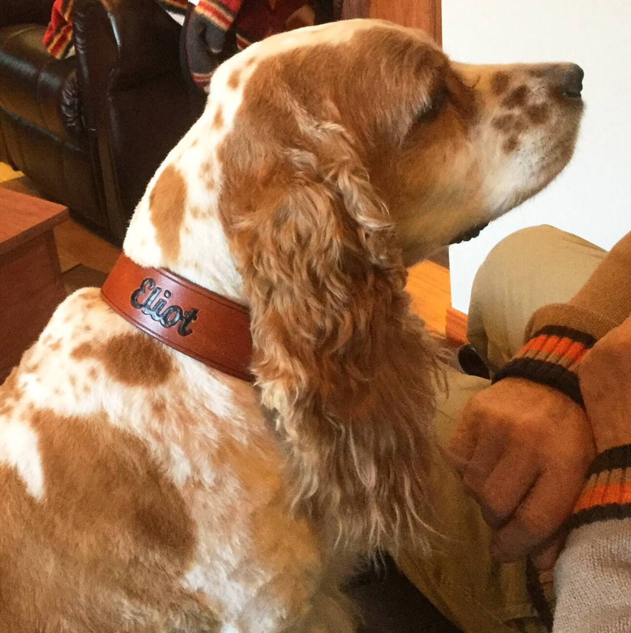 Personalized Leather Dog Collar - Handcrafted Quality Leather Dog ...