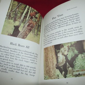 Walt Disney's True Life Adventure Series Book - Etsy