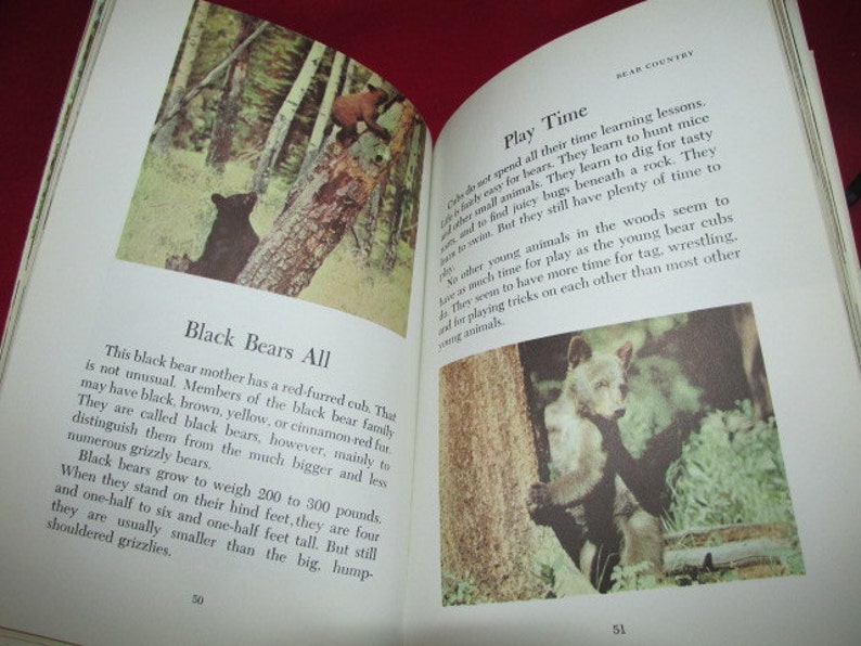 Walt Disney's True Life Adventure Series Book - Etsy