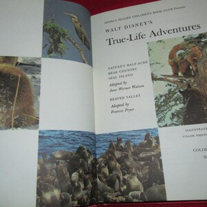 Walt Disney's True Life Adventure Series Book - Etsy