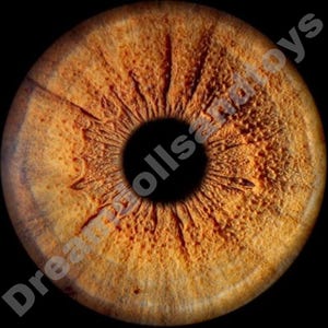 Digital File Printable Eyechip Designs - 14mm Realistic Eyes for Neo ...