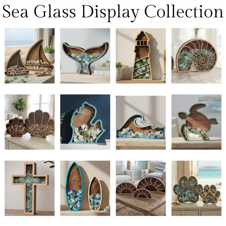 Deep Seashell & Sea Glass Display Box – 1” Depth for Larger Shells ...