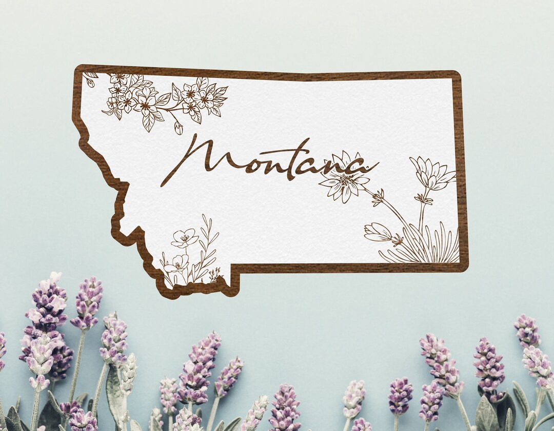 Montana Flowers Wall Art | Montana State Flower Bitterroot | Montana ...