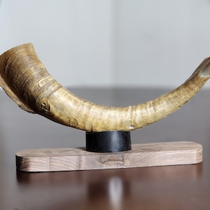 Bukkehorn / Authentic Goat Horn / Viking Norwegian Horn Instrument ...