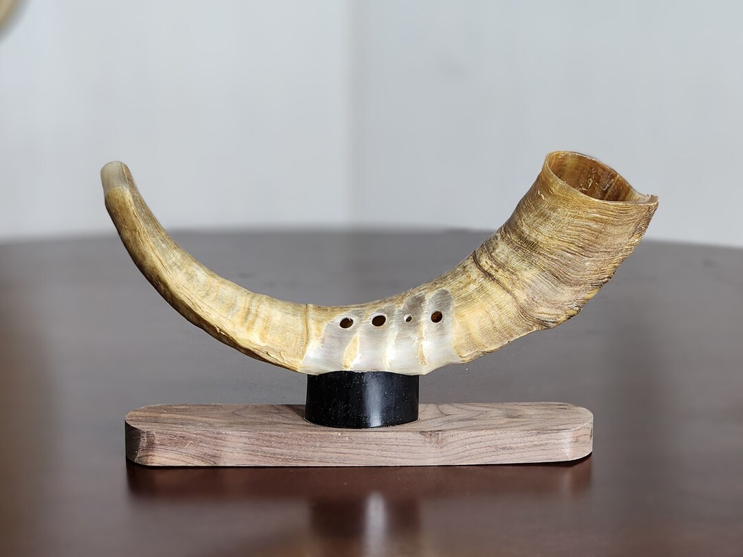 Bukkehorn / Authentic Goat Horn / Viking Norwegian Horn Instrument ...