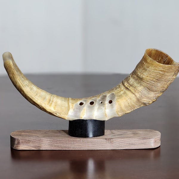 Horn - Etsy