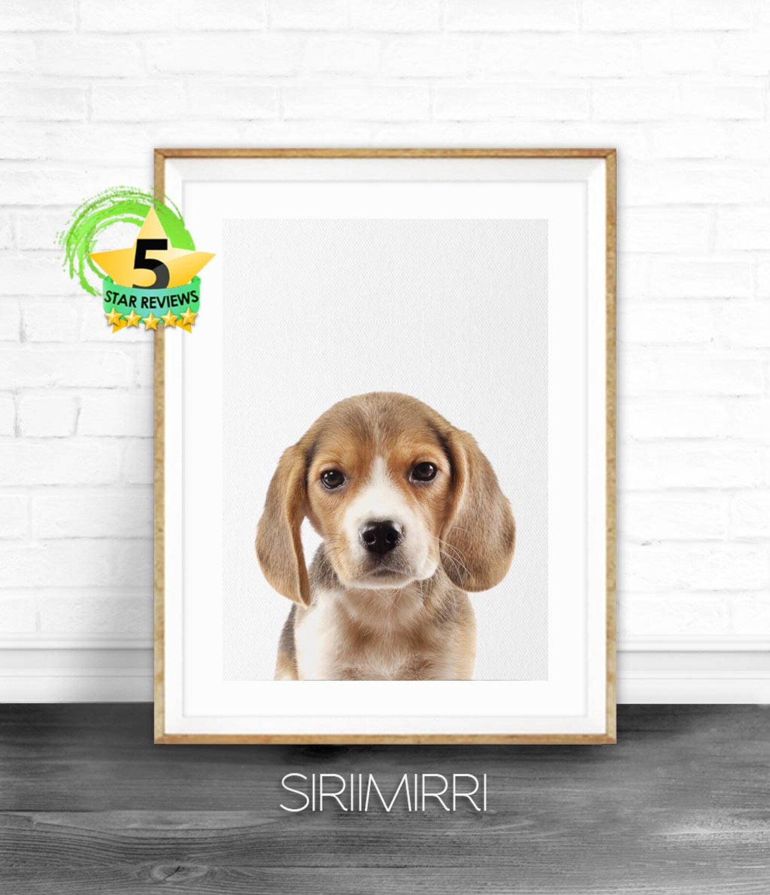 Beagle Print Beagle Photo Dog Poster Dog Print Puppy Art - Etsy