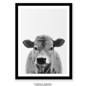 Nursery Farm Animal Cow Print Cow Photo Black White Cow - Etsy