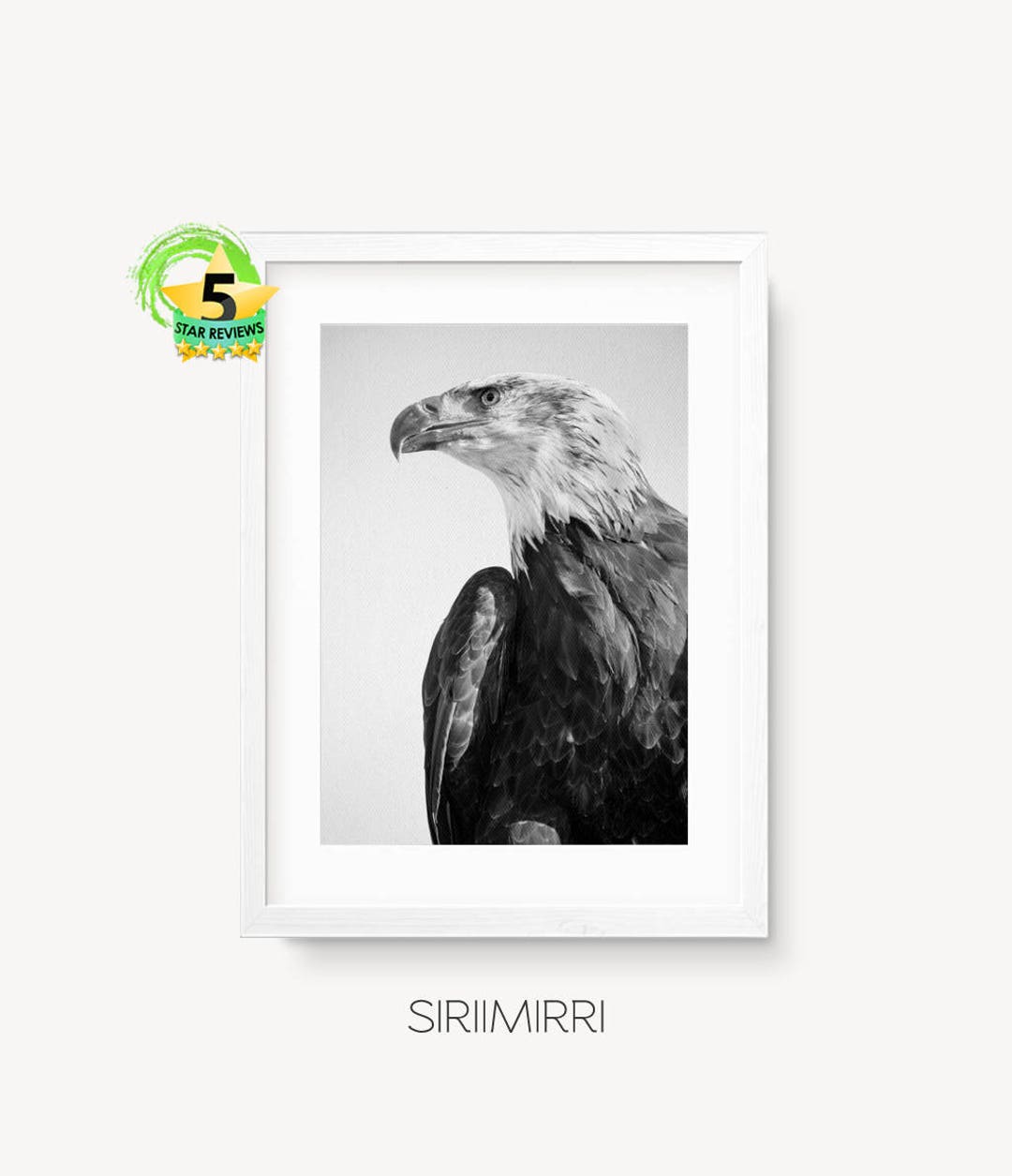 Eagle Print Hawk Photography Bird of Prey Animal Wall Art - Etsy