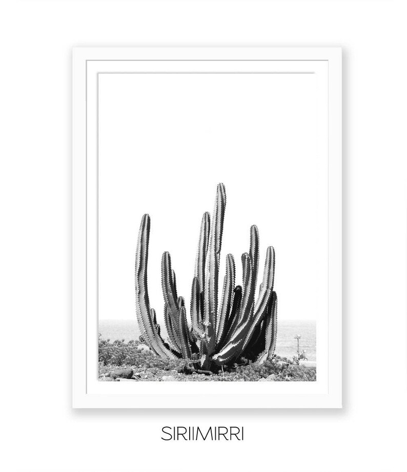 Cactus Art Cactus Print Cacti Print Cactus Wall Art Cactus | Etsy