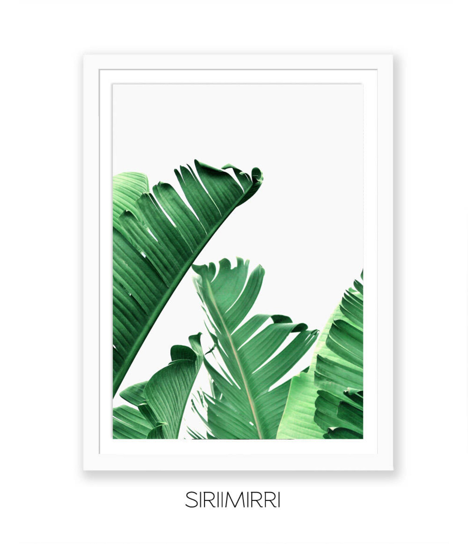 Banana Leaf Print Banana Leaves Print Set of 3 Print Tropical - Etsy