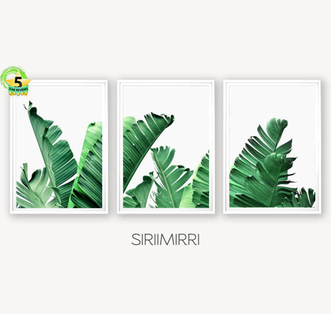Banana Leaf Print Banana Leaves Print Set of 3 Print Tropical - Etsy