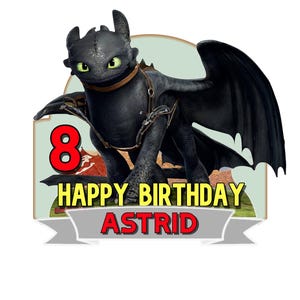 How Train Your Dragon Birthday Package, Toothless Set of Birthday ...