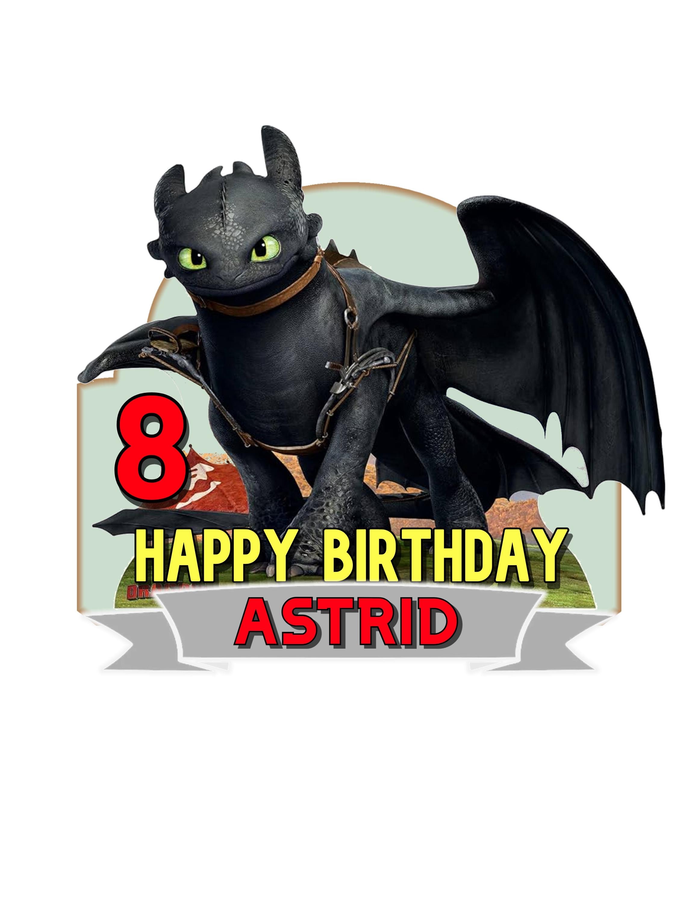 How Train Your Dragon Birthday Package, Toothless Set of Birthday ...