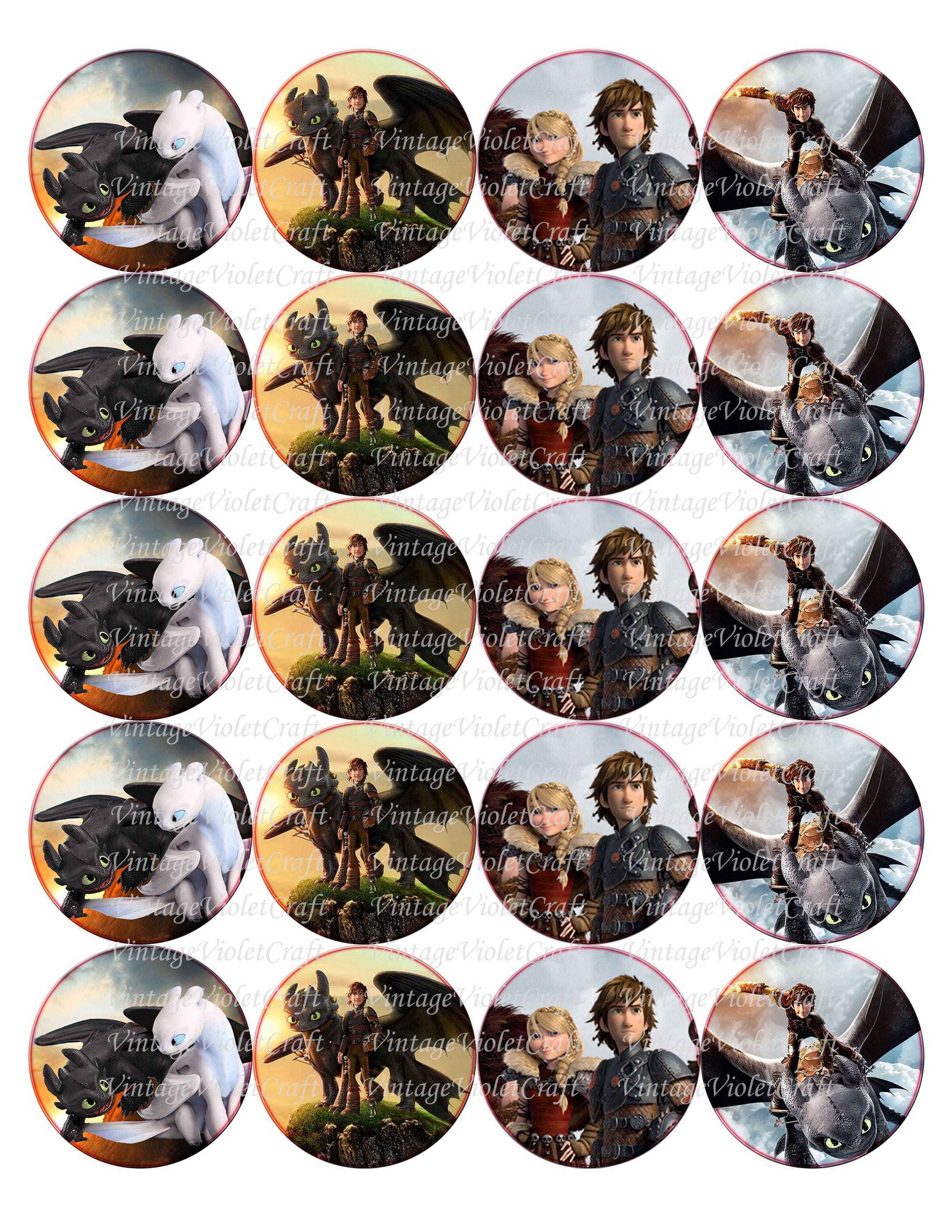 How Train Your Dragon Birthday Package, Toothless Set of Birthday ...