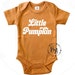 Kids Pumpkin Patch Tshirt, Professional Pumpkin Picker Shirt, Toddler ...
