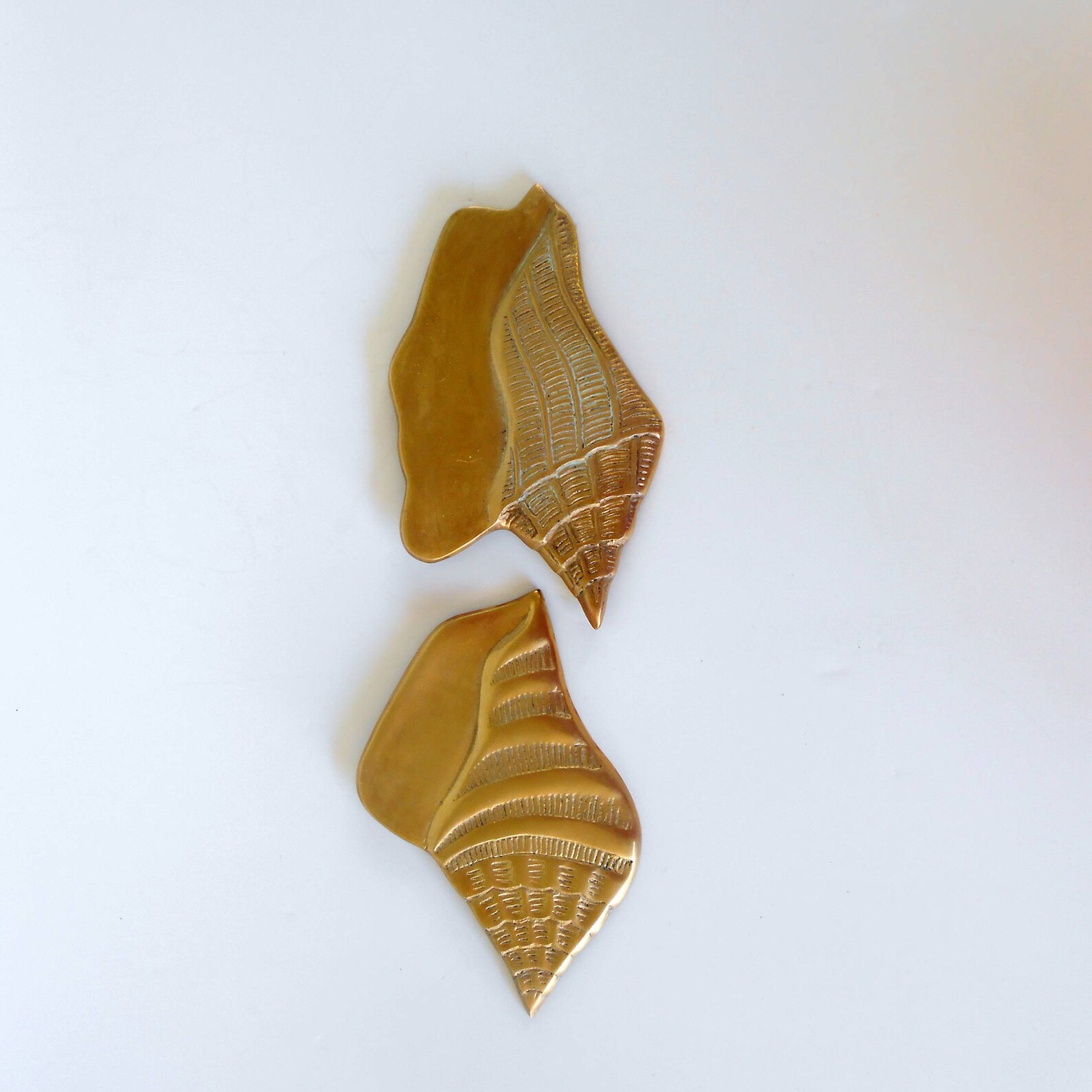 Set of 2 Brass Seashells Plaqueshell Wall Decoration Shell | Etsy