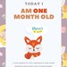 Fox Themed Printable Baby Milestones Posters - 20 Page Digital Download ...
