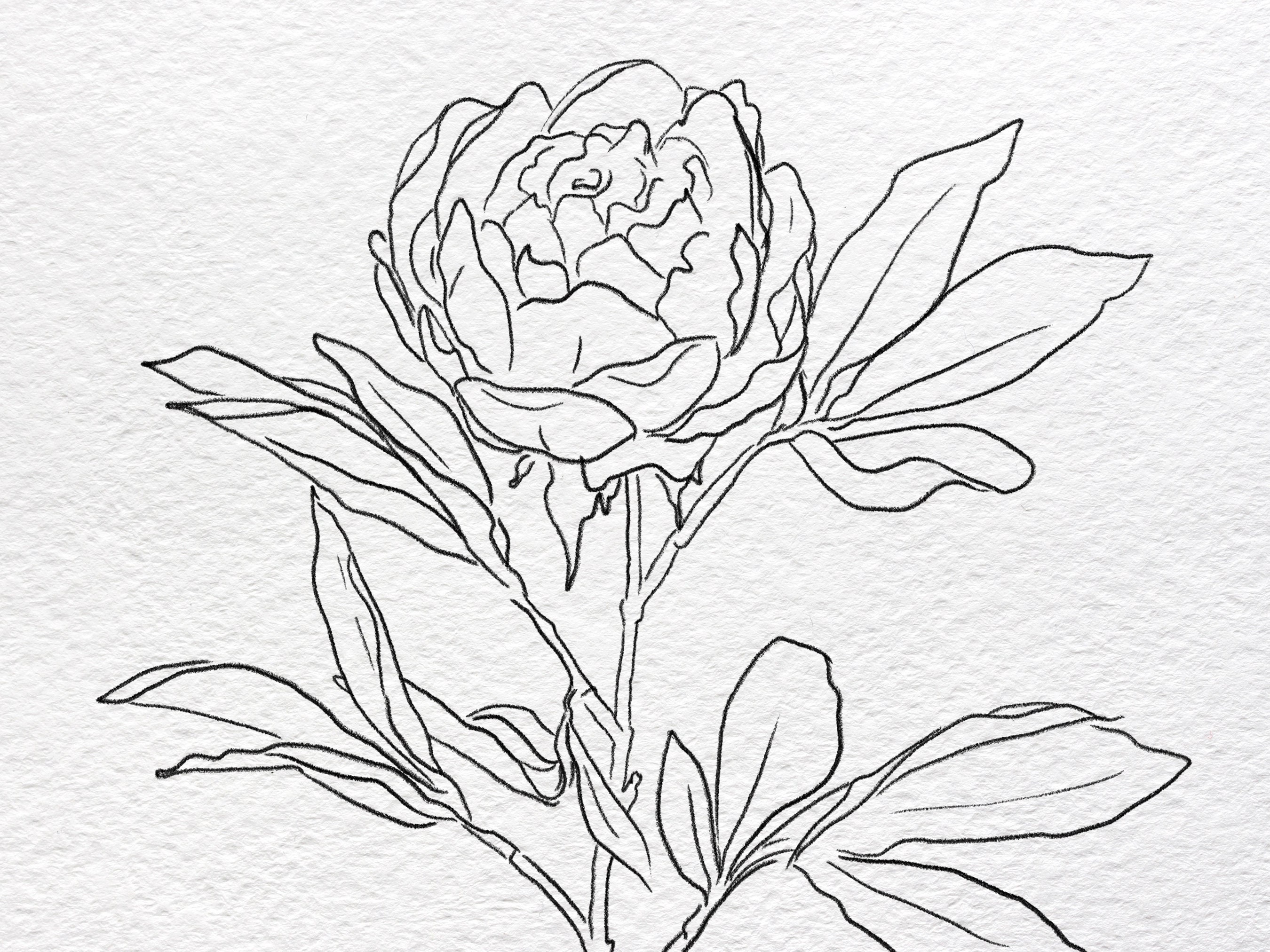 Floral Hand Drawn Digital Download Coloring Pages 6 Printable Flower ...