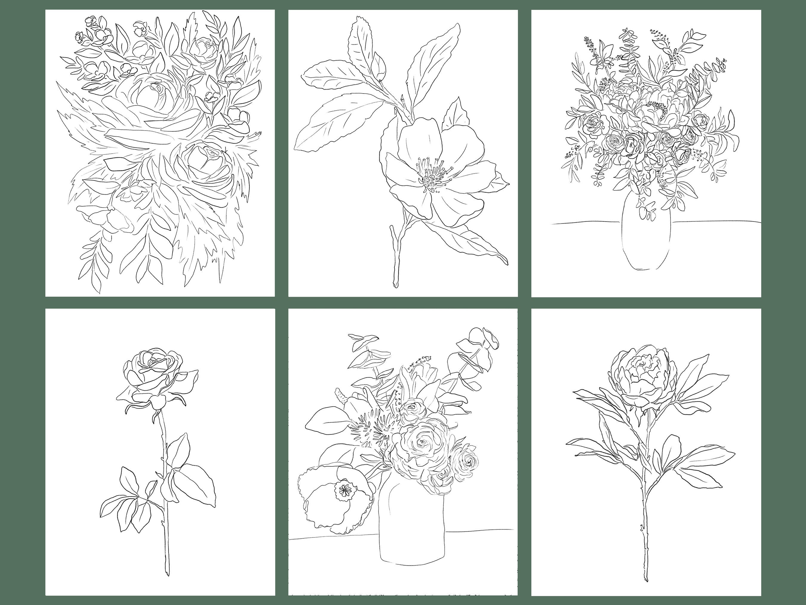 Floral Coloring Pages: Hand Drawn Flower Illustrations (digital ...