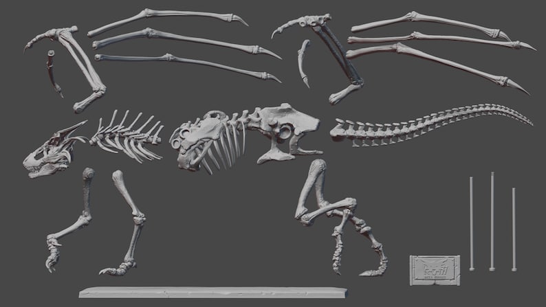 Dragon Skeleton Diorama Designed by Keta-minies Where is - Etsy