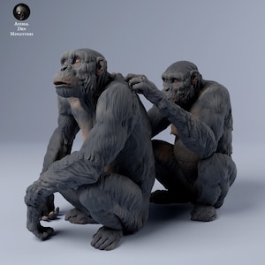 Chimpanzee 4 Styles 3D Printed Miniature Designed by Animal Den ...