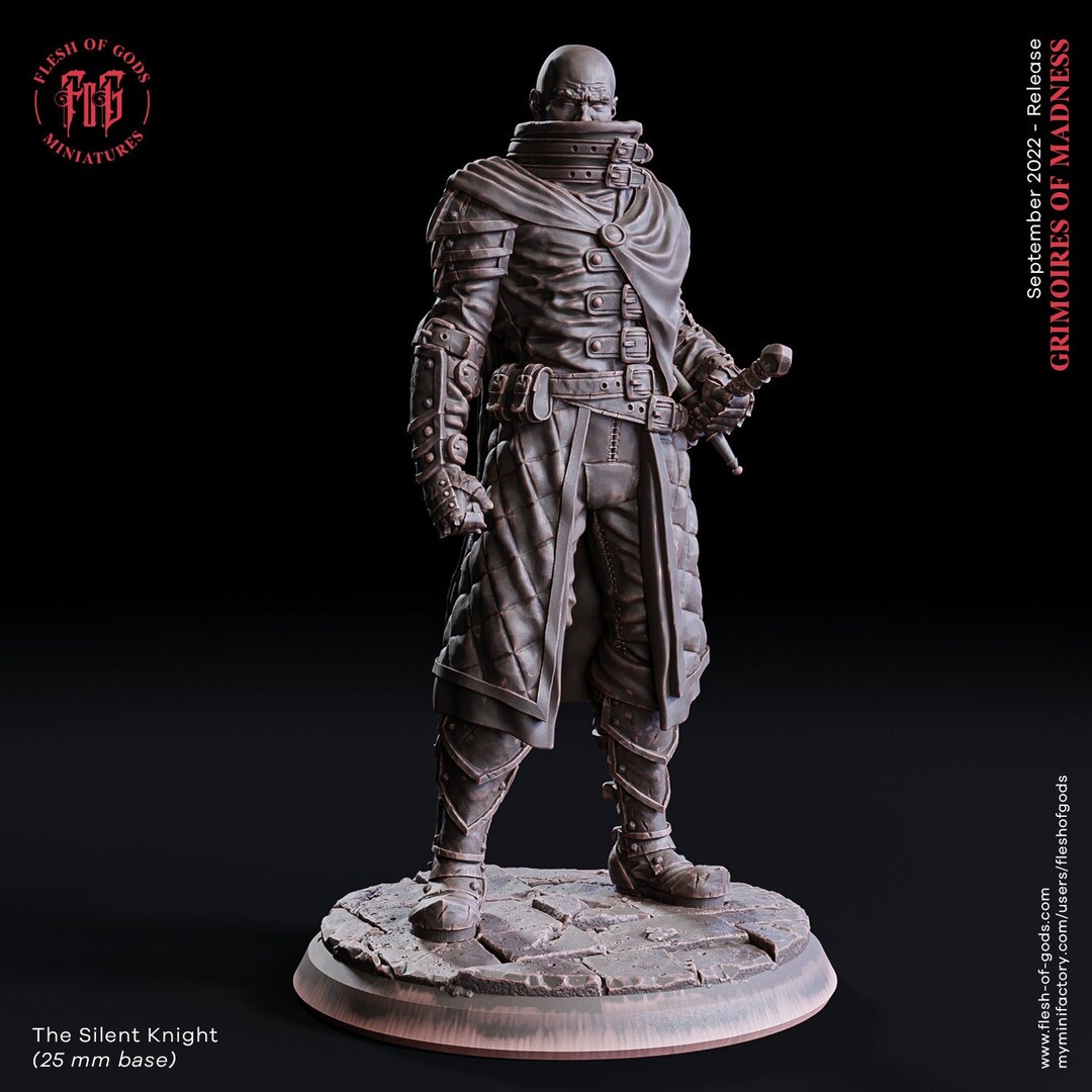 The Silent Knight Hero Flesh of Gods Grimoires of Madness 3D Printed ...