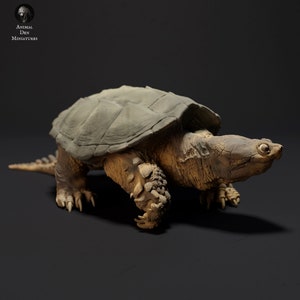 Snapping Turtle - 3 Poses - 3D Printed - Designed by Animal Den ...