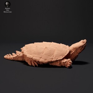 Snapping Turtle - 3 Poses - 3D Printed - Designed by Animal Den ...