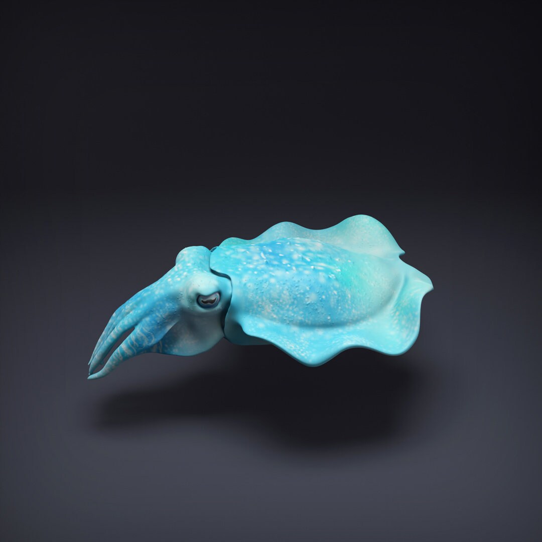 Cuttlefish - 3D Printed - Miniature - Figurine - Sculpture - DIY Paint ...