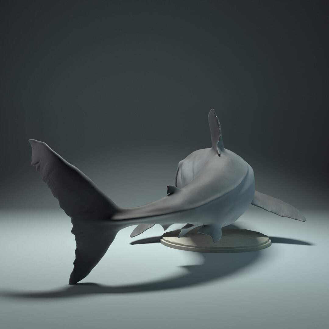 Great White Shark Swimming 3D Printed Miniature - Etsy