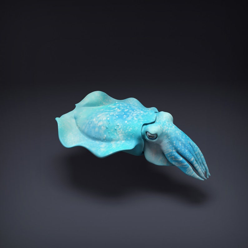 Cuttlefish 3D Printed Miniature Figurine Sculpture - Etsy