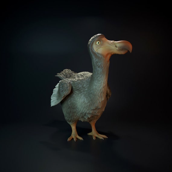 Real Dodo