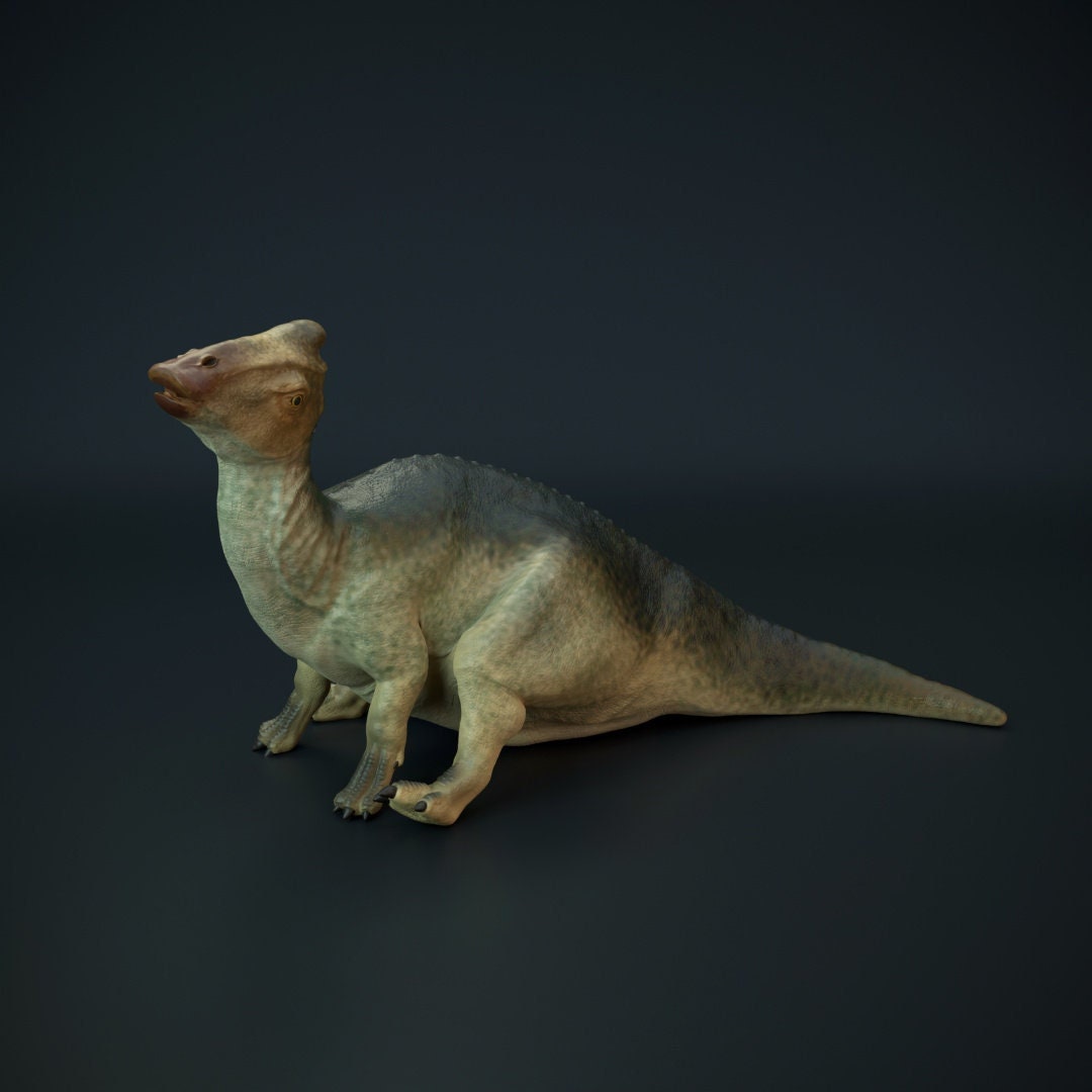 Parasaurolophus - Baby - 2 Versions - Designed by Dino and Dog - 3D ...